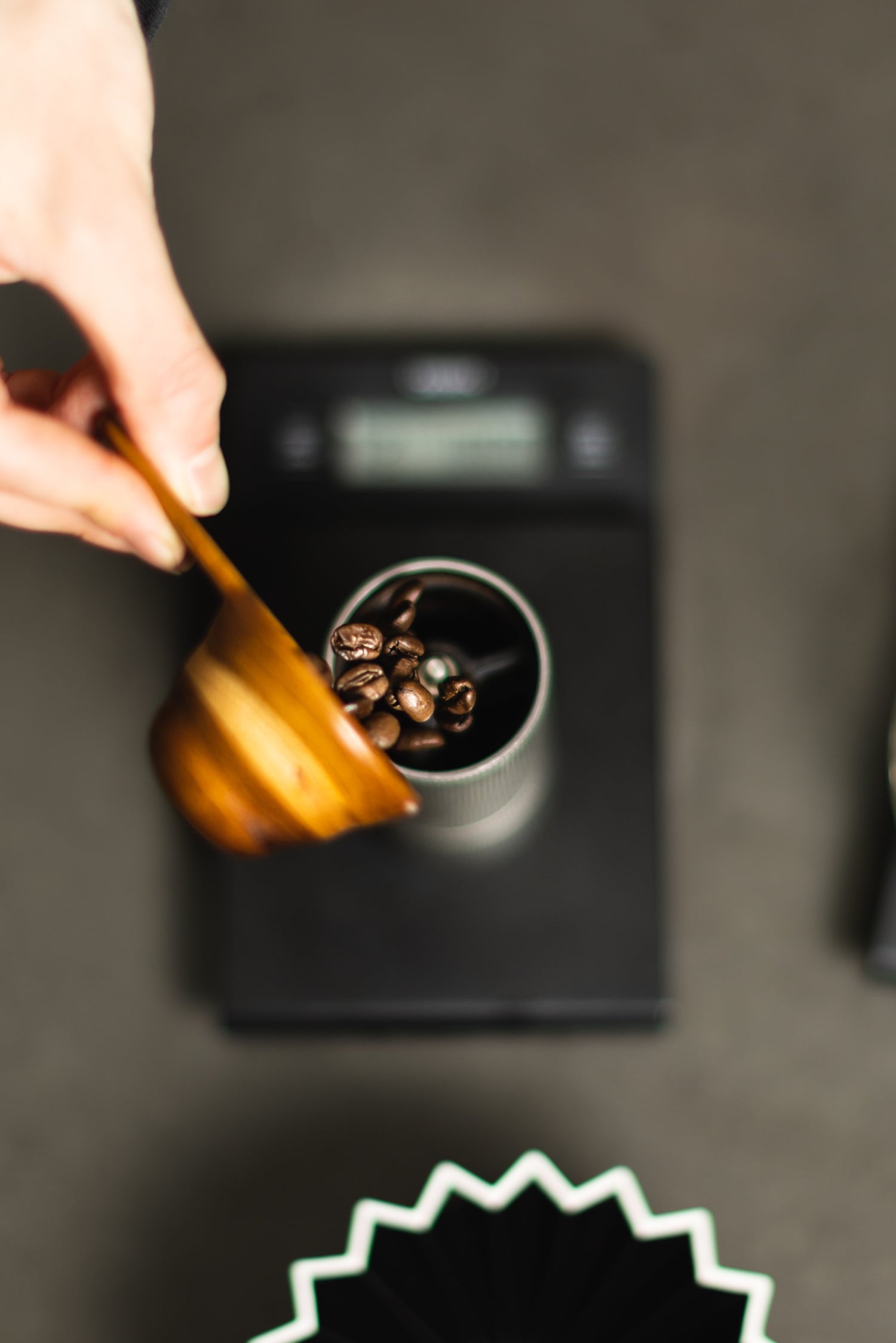 catea roaster